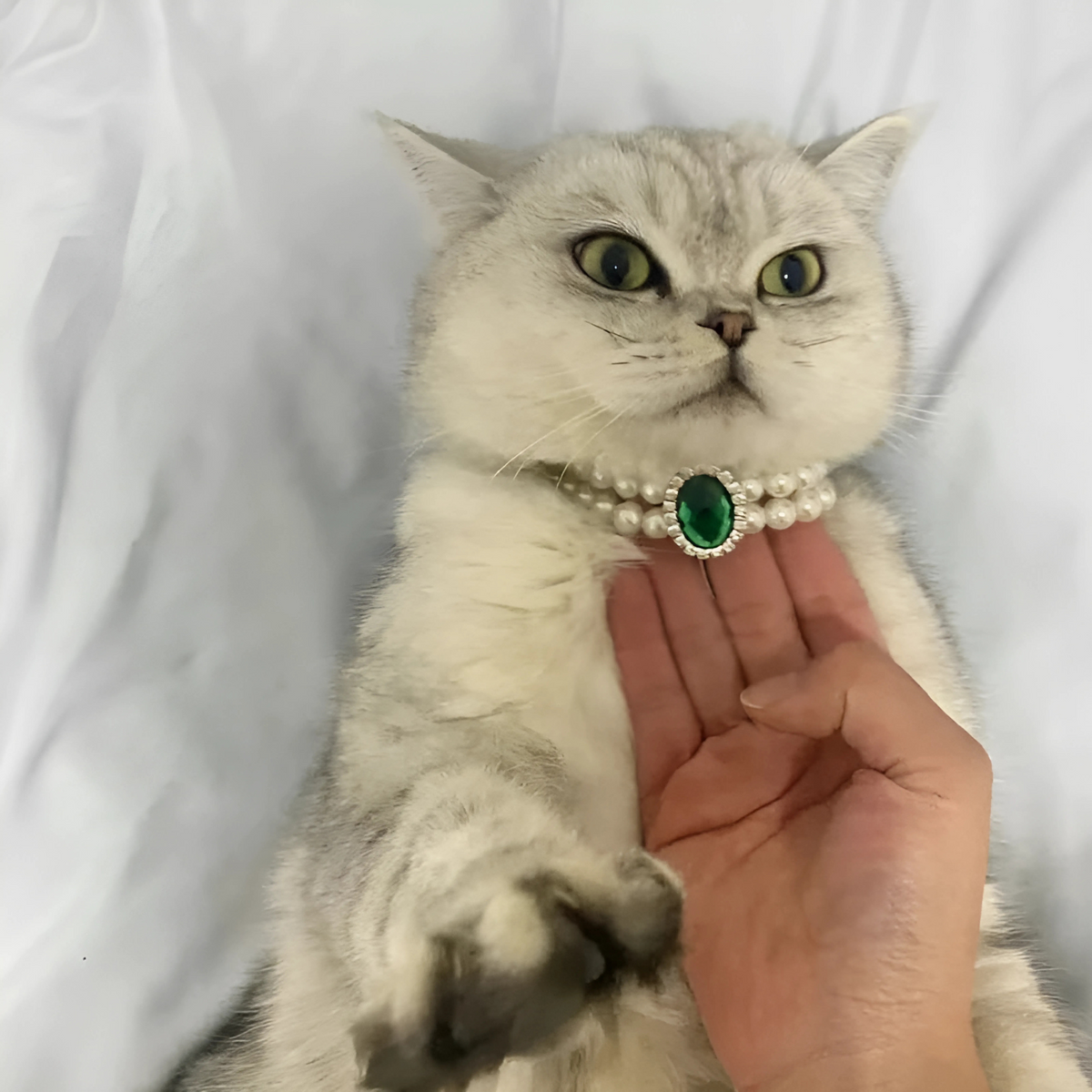 Elegant Cat Necklace – Faux Pearl Collar – CalmlyPaws™