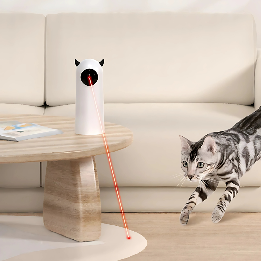 Automatic Infrared LED Laser Cat Toy – CalmlyPaws™