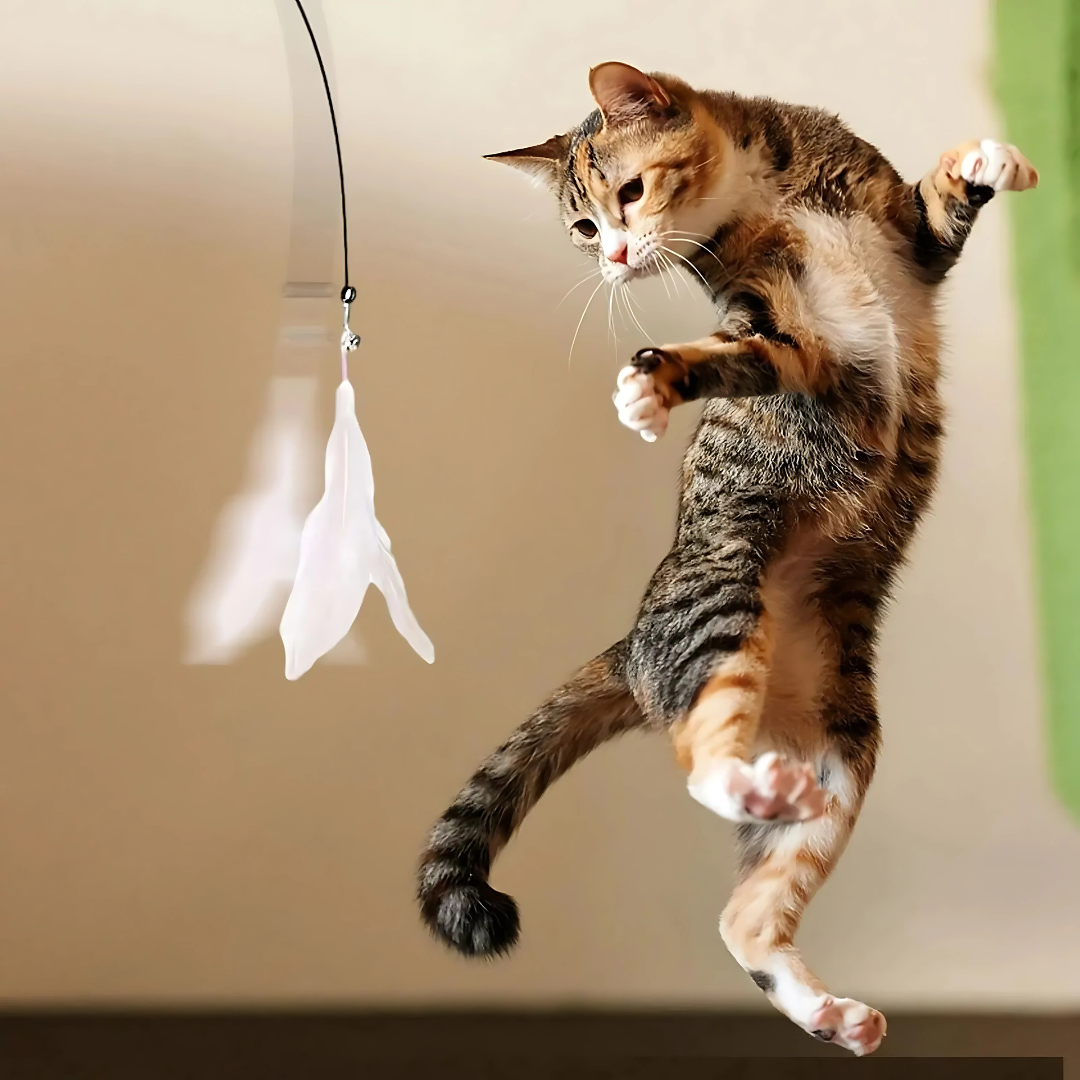 Simulated Bird Wand Cat Toy – CalmlyPaws™